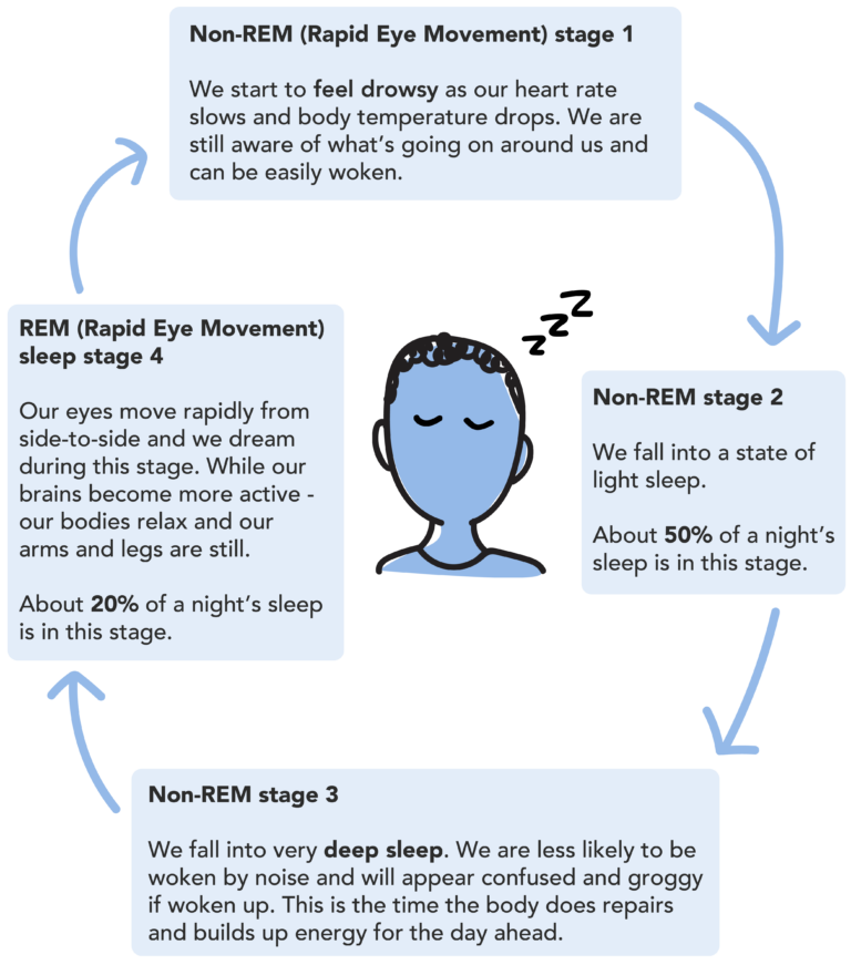What happens when we sleep? - MindWell